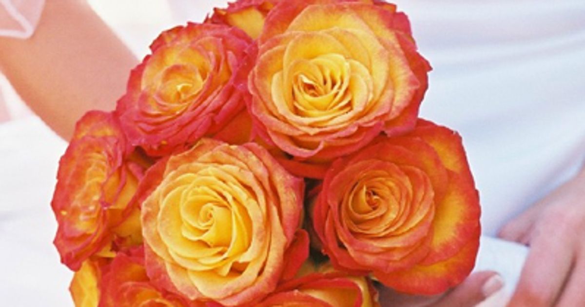 The Perfect Rose - Weddingbells