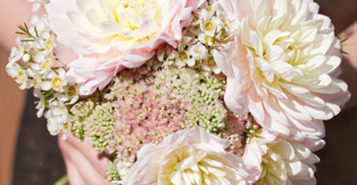 Summer Sedum - Weddingbells